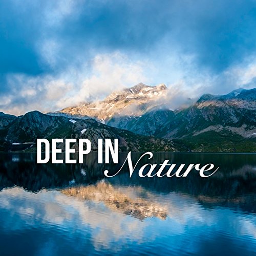 Amazon.com: Deep in Nature : Deep Sleep Nature Sounds: Digital Music