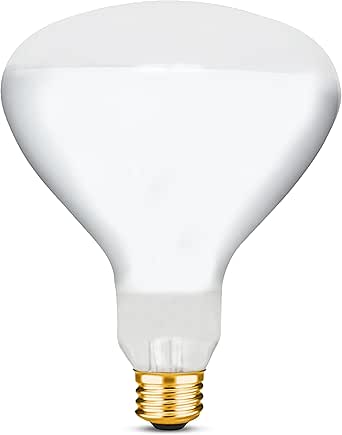 OHLECTRIC R40 Clear Infrared Heat Flood Bulb with E26 Medium Base ...