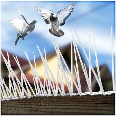 Eightiz (Pack of 5) Bird and Pigeon Spikes, Pigeon Control Spikes Anti ...
