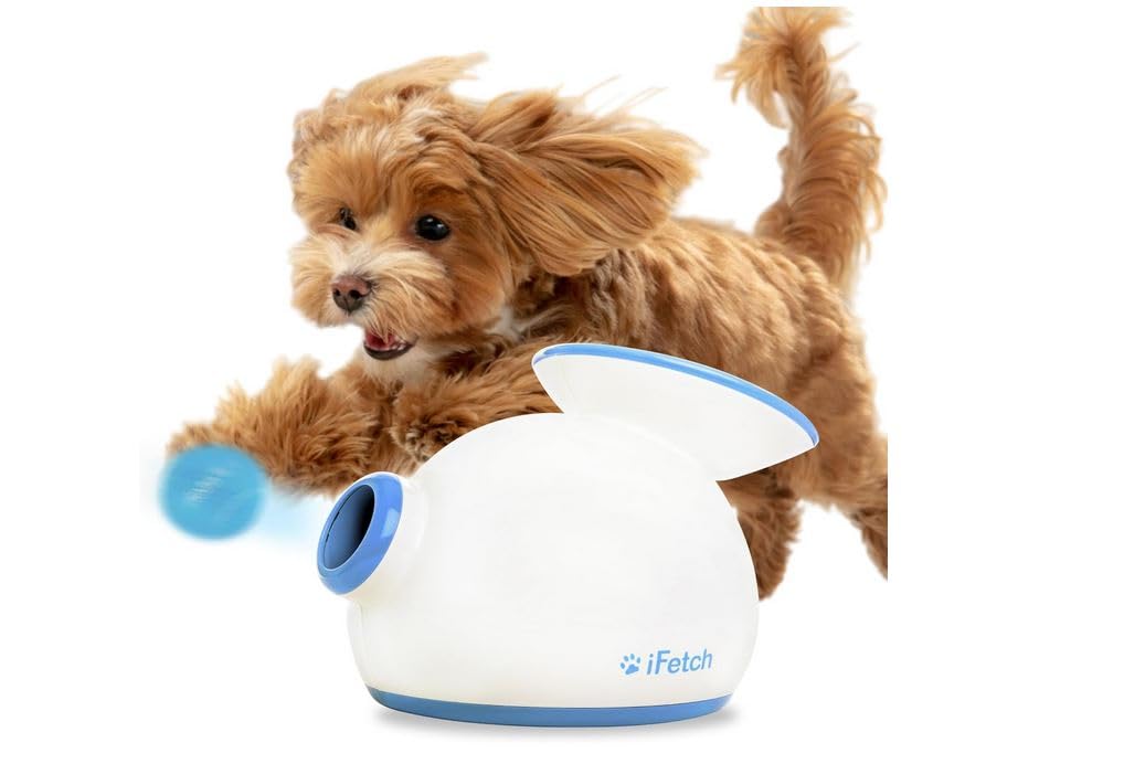 Dog Ball Thrower Launcher, Automatic Launcher With 6 Mini Tennis Balls ...