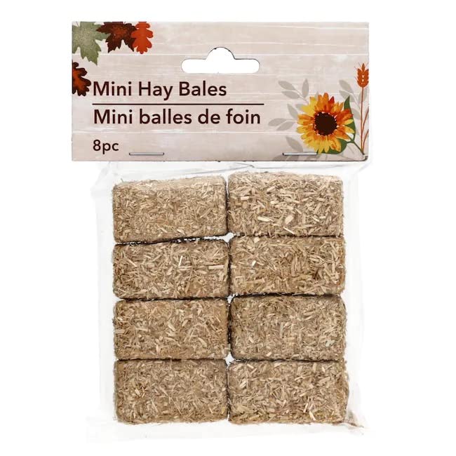 Amazon.com: Mini Hay Bales : Pet Supplies
