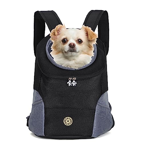 Take Your Furry Companion Anywhere: Check Out the Best Motorcycle Dog ...