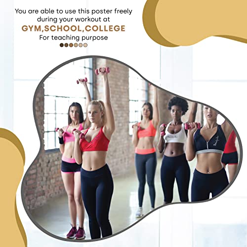 SPORTAXIS- No-Equipment Laminated Dumbbell Workout Poster with Colored ...
