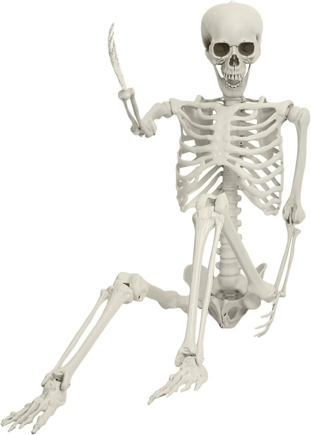 Amazon.com : 65 Inch Halloween Skeleton Life Size, Full Size Posable ...