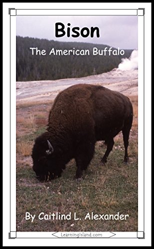 Bison: The American Buffalo: A 15-Minute Book (15-Minute Books 351 ...