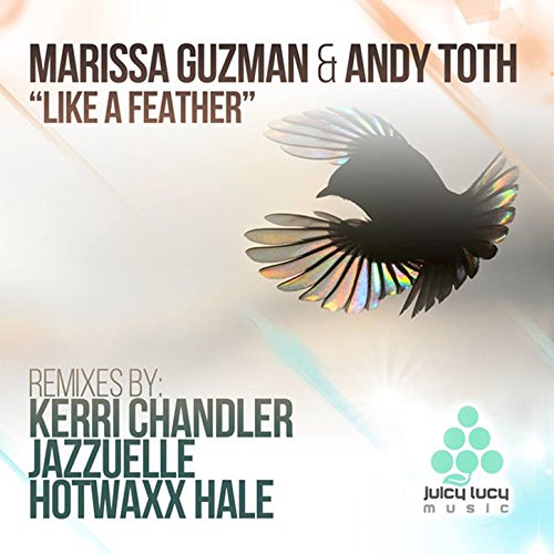 Play Like a Feather by Marissa Guzman & Andy Toth on Amazon Music
