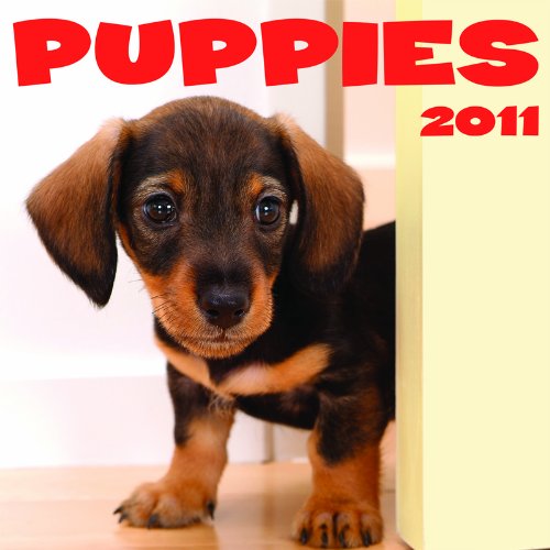 2011 Puppies Calendar: Zebra Publishing Corp.: 9781554563623: Amazon ...