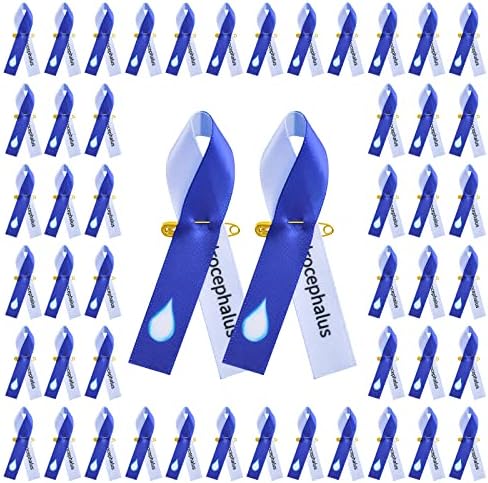 Amazon.com: CRAFFANCY Dark Blue & Light Blue Ribbon, 100Pcs Satin Pins ...