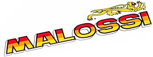 Amazon.fr : Autocollant Malossi Logo 131x31mm