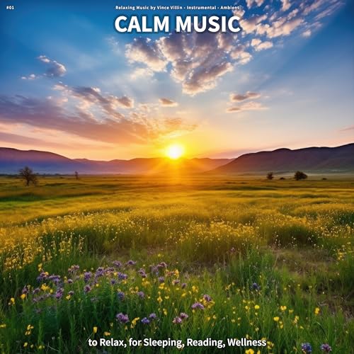New Age song by Relaxing Music by Vince Villin, Instrumental & Ambient ...
