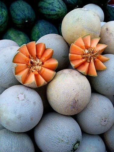 Ritz Farming® Muskmelons vegetable seeds | Honey Rock Cantaloupe Seeds ...
