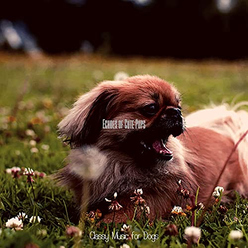Echoes of Cute Pups de Classy Music for Dogs en Amazon Music Unlimited