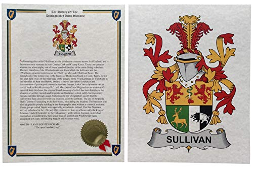 Amazon.com: Sullivan - Coat of Arms and Last Name History - 8.5x11 ...
