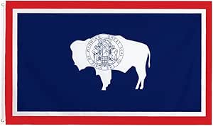 Amazon.com : 3x5FT Wyoming Flag State Bison Seal Native Decor Man Cave ...