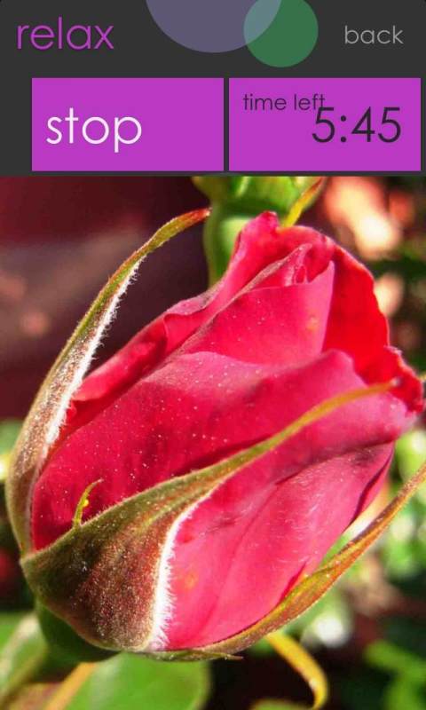 Relax by Cranium Crunches - App on Amazon Appstore