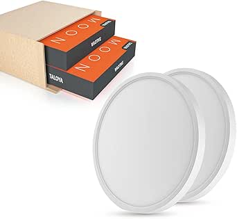 TALOYA 2 Pack 12 Inch LED Flush Mount Ceiling Light Fixture for Living ...