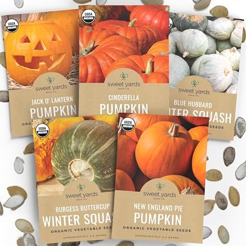 Amazon.com : Pumpkin Seeds Home Garden Organic Variety Pack - Non-GMO ...