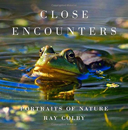 Close Encounters: Portraits of Nature : Buy Online at Best Price in KSA ...