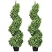 Amazon.com - momoplant Artificial Boxwood Plant Topiary Tree 35inch ...