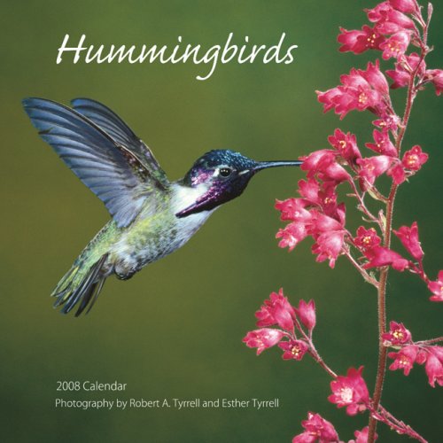 Amazon.com: Hummingbirds 2008 Square Wall Calendar (German, French ...