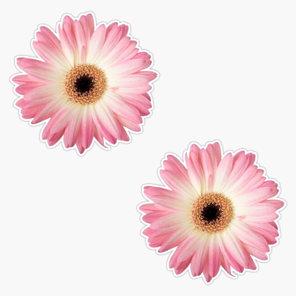 Amazon.com - Pink Daisy Vinyl Waterproof Sticker Decal Car Laptop Wall ...