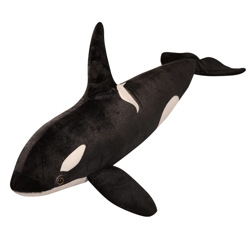 Orca Whale Cartoon