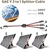 Amazon.com: LeTaoXing SAE Y Splitter 10AWG SAE Connector 1 to 3 ...