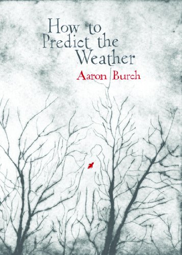 How to Predict the Weather - Kindle edition by Burch, Aaron. Literature ...