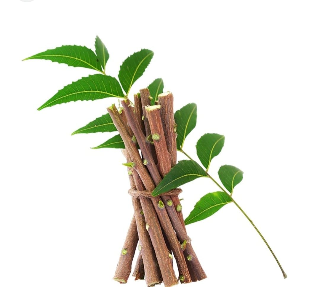 Buy Green garden Pack of 20 Pieces Ayurvedic Natural Organic Neem Datun ...