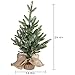Amazon.com: MorTime 24 Inch Mini Artificial Christmas Tree with 50 LED ...