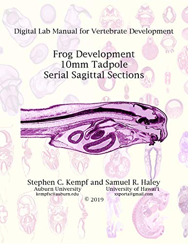 10mm Frog Tadpole Serial Sagittal Sections: Digital Lab Manual for ...