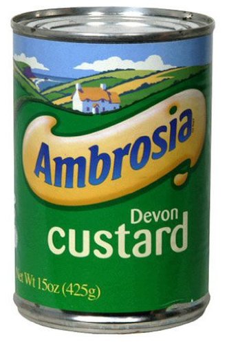 Amazon.com : Ambrosia Devon Custard - 12 Cans (15 oz ea) : Custard ...
