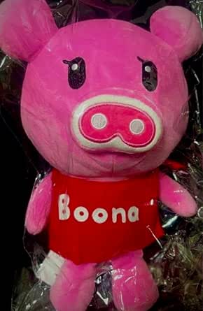 Amazon.co.jp: ブーナちゃん Boonaちゃん ぬいぐるみ TBS Nスタ : おもちゃ