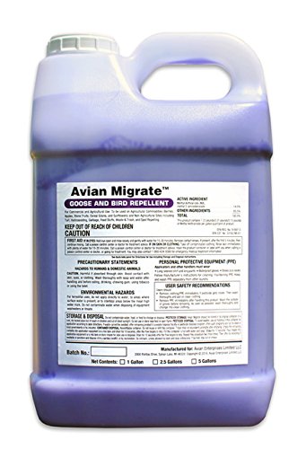 Amazon.com: Avian Migrate Goose Deterrent, Bird Repellent Concentrate ...