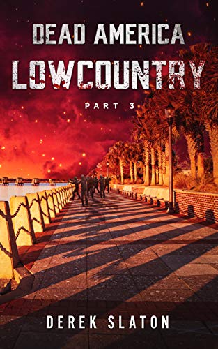 Amazon.com: Dead America - Lowcountry Pt. 3 eBook : Slaton, Derek ...