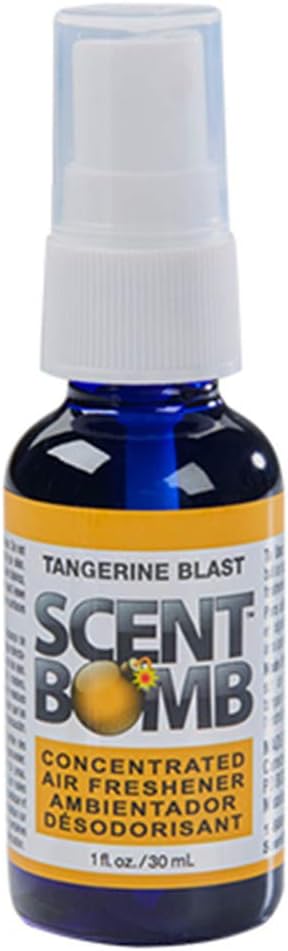 Amazon.com: Scent Bomb Air Freshener Spray, Long-Lasting Odor ...