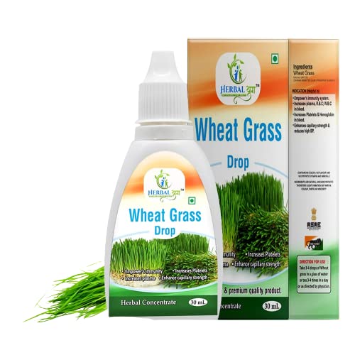 Buy HERBAL YUG Wheat Grass extract drop 30ml for increase immunity ...