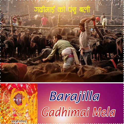 Play Barajilla Gadhimai mela by Dhakaram Paudel & Uma Devi Khanal on ...