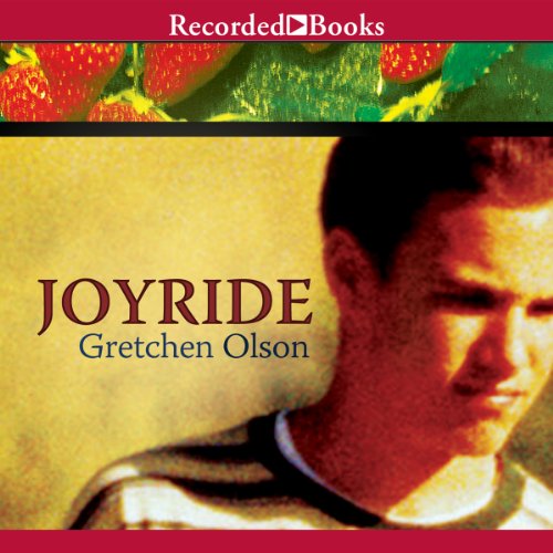 Amazon.com: Joyride (Audible Audio Edition): Gretchen Olson, Ramon De ...