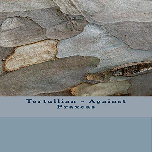 Amazon.com: On Baptism (Lighthouse Church Fathers) (Audible Audio ...