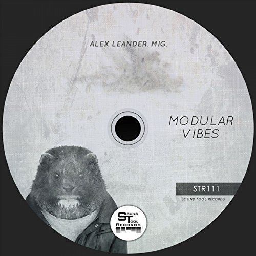 Modular Vibes by Mig., Alex Leander on Amazon Music - Amazon.com
