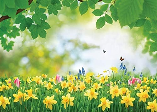 LYWYGG 7x5FT Spring Scenery Backdrop Forest Path Sunshine Flower ...