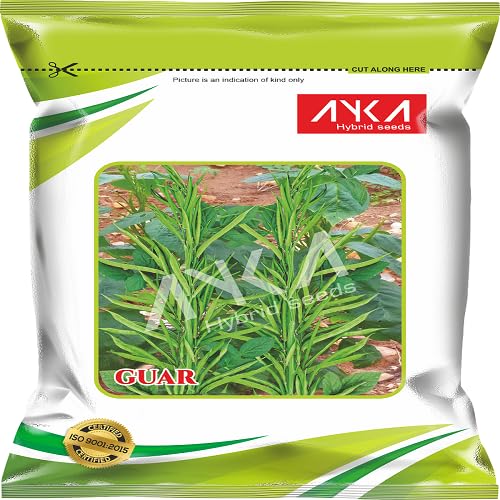 EXCEL OVERSEAS Guar Seeds Farm Fresh and Nutrient-Packed Vegetable Seed ...