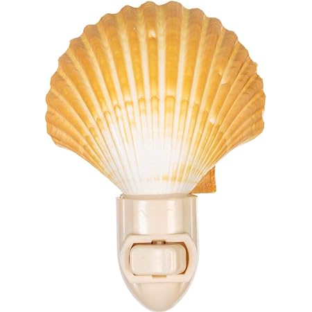 Sea Shell Night Light | Black Murex Shell Nautical Night Light | Home ...
