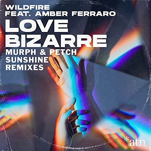 Love Bizarre (feat. Amber Ferraro) [Sunshine Remix] de Wildfire feat ...