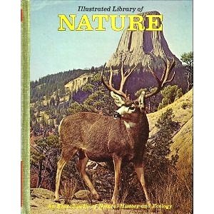Animal Traits - Animal World: Illustrated Library of Nature ...