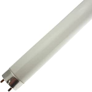 Amazon.com: Industrial Performance F32T8/850/ECO, 32 Watt, G13 Base, 4ft Fluorescent Tube Light ...
