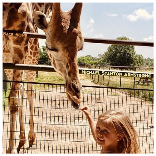 Play Back Home by Michael Stanton Armstrong on Amazon Music Unlimited