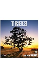 Amazon.com: RED EMBER Magnificent Forests 2025 Wall Calendar 12 Month ...