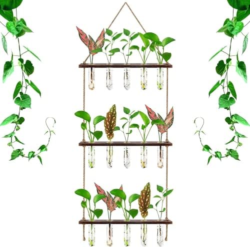 Amazon.com: Wall Hanging Propagation Station,Wall Planters for Indoor ...